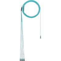 Panduit F9TYP5EL2SAF030 12-Fiber Trunk Cable Assembly, OS2, OFNP, MPO F ...