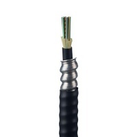 Panduit FOLPX12 12-Fiber Cable, OM3, Indoor / Outdoor Armored Tight Buffered, Plenum