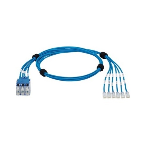 Panduit QPPSDBDB10 QuickNet CAT6 Switch Harness UTP CM/LSZH with Plug ...