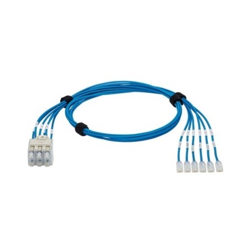 Panduit QPPSDBRS03 QuickNet CAT6 Switch Harness UTP CM/LSZH with RJ45 ...