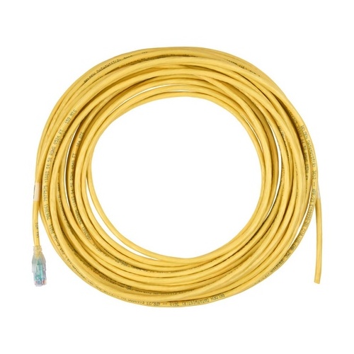 Belden C601300035 CAT6 Plus Pigtail-B Cable, CMR, 35', Black