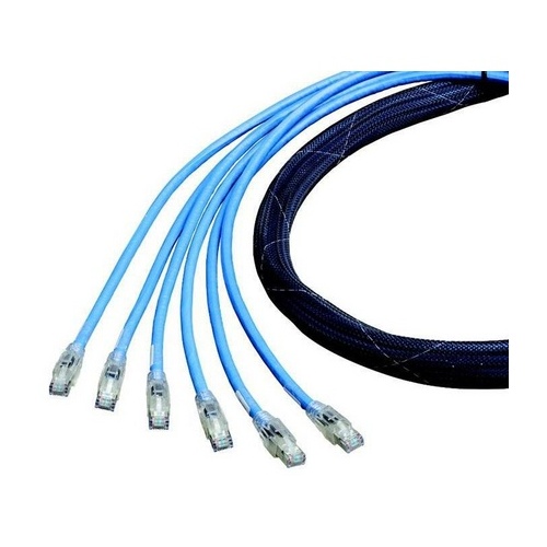Belden CAF1108010A06 CAT6A 10GX Pre-Terminated Network Cable, F/UTP ...